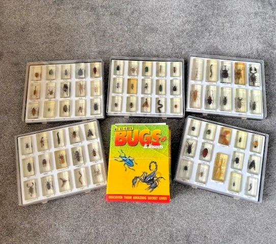 REAL LIFE BUGS and Insects Complete Collection Specimens and magazines £182.68 - PicClick UK