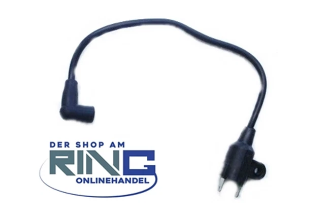 ZÜNDSPULE INVERTER ZÜND Spule Zündmodul Stromgenerator Stromerzeuger Generator EUR 34,95 ...