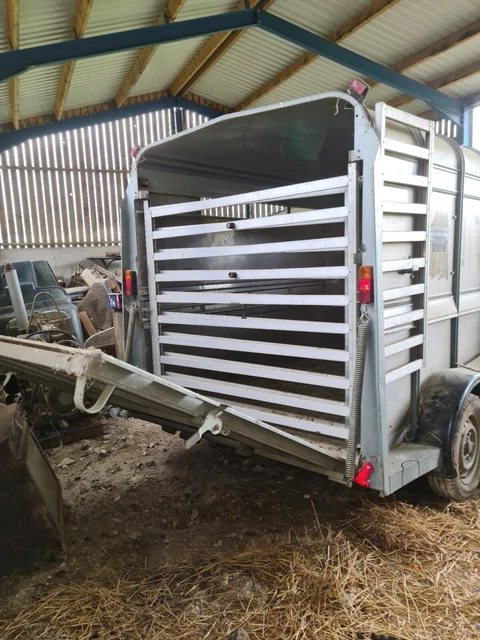 IFOR WILLIAMS LIVESTOCK trailer 10’ £1,000.00 - PicClick UK