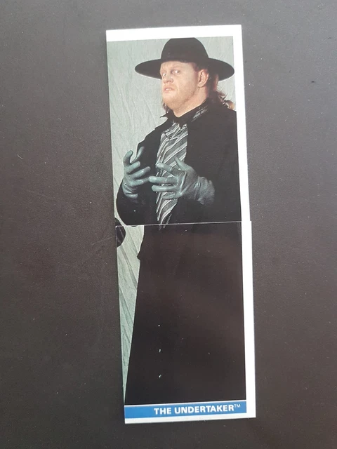 RARE UNDERTAKER 1991 Rookie Superstars Sticker Pannini - WWE WWF WCW ...