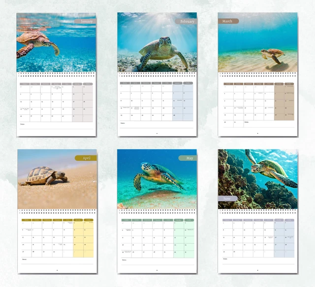 TURTLE CALENDAR 2026: Monthly Wall Calendar with Notes, opens to A3 ...