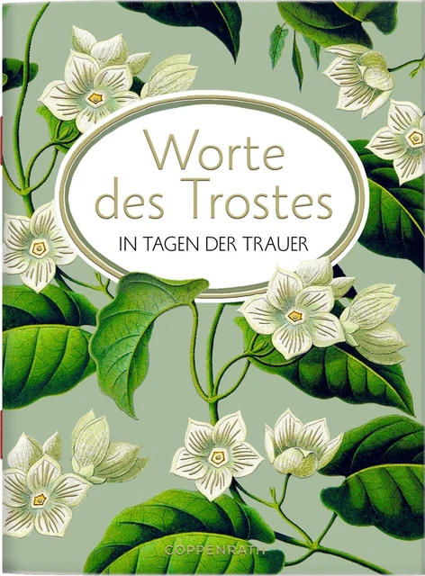 WORTE DES TROSTES in Tagen der Trauer (Schöne Grüße) (Paperback) £5.91 ...