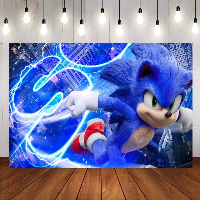 ROUND SONIC THE Hedgehog Backdrop Kids Birthday Party Photo Background ...