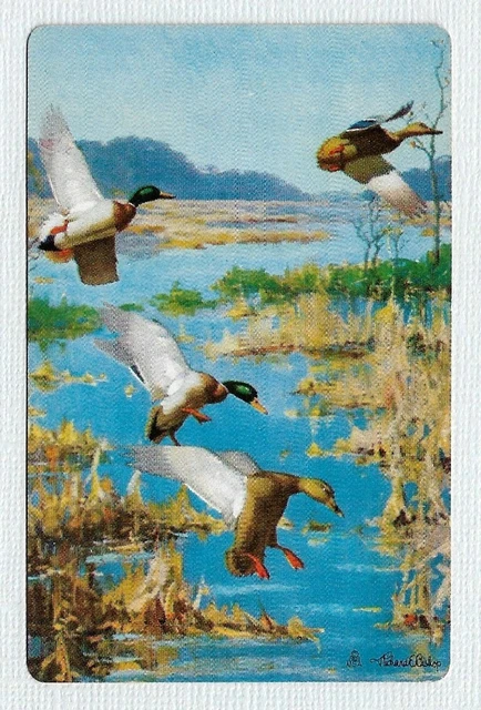 VINTAGE SWAP PLAYING Card - Birds, Ducks landing, artist signed (2) $1. ...
