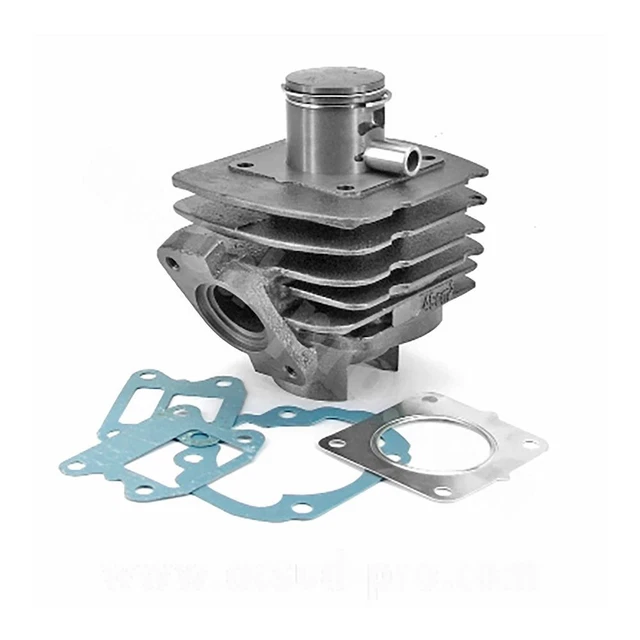 ZYLINDERKIT 50CCM 2-TAKT AC TNT Honda SJ 50 Bali AF32 93-00 EUR 44,90 ...