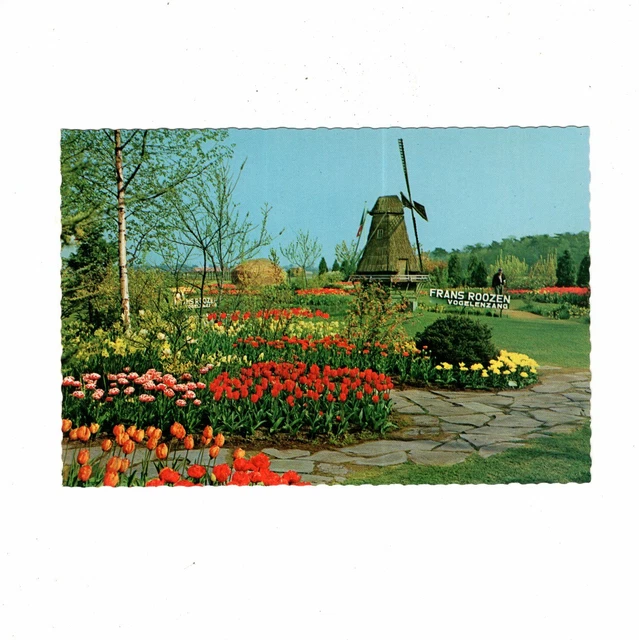 AK ANSICHTSKARTE TULIPSHOW / Frans Roozen / Vogelenzang / Holland EUR 2 ...