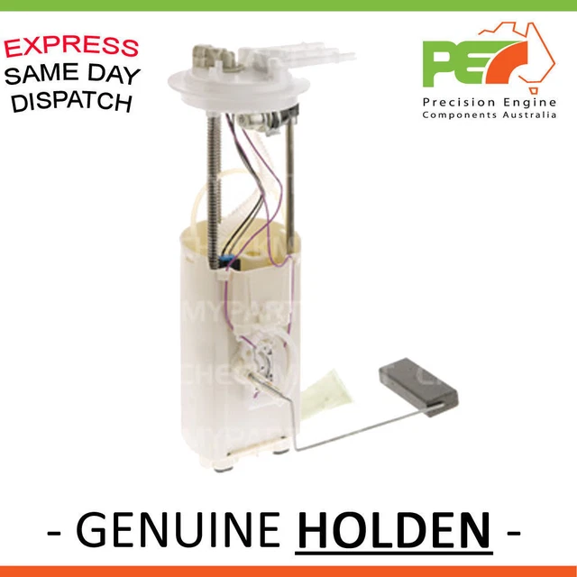 ELECTRONIC FUEL PUMP Assembly For Holden Commodore Statesman VT II VX ...