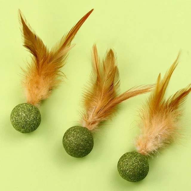 CATNIP BALL FEATHER Balls Toy Treats To Promote Digestion Cat Grass Pet ...