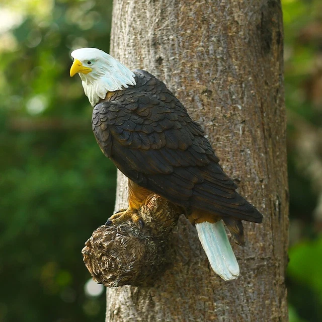 VIRAWA AMERICAN BALD Eagle Tree Hugger Hanging Garden Statue Resin ...