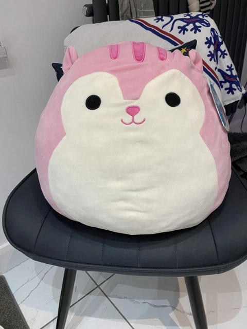 BNWT SARAH SQUIRREL Squishmallow Exclusive Soft Toy Plush Medium 16” £ ...
