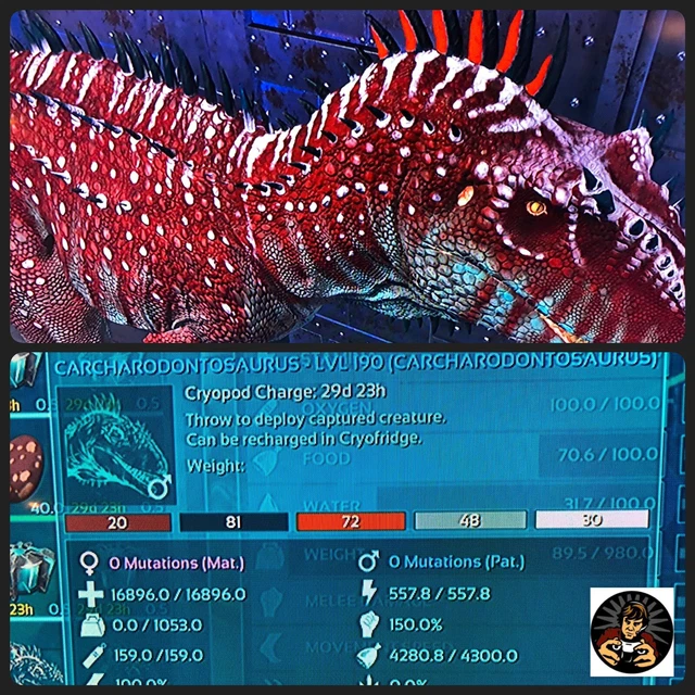 CARCHA MALE - Carcharodontosaurus Carcharo Ark Survival Xbox OFC PVE £3 ...