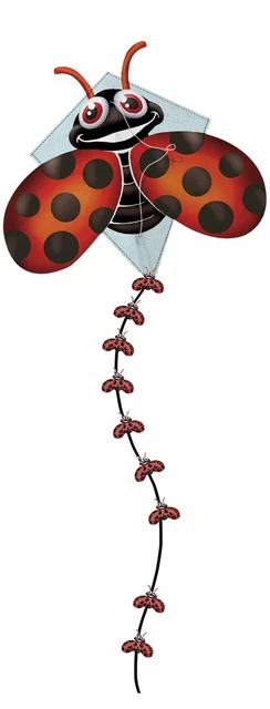 EOLO SPORTS 110620-001 Pop up Diamond Lady Bug Kite EUR 24,30 - PicClick FR