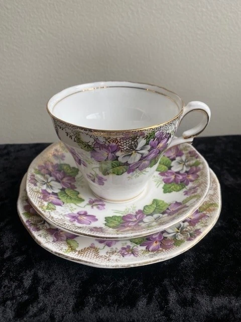 VINTAGE SALISBURY BONE CHINA TRIO DEVONSHIRE VIOLETS PATTERN No. 2778 ...
