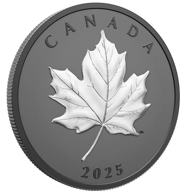 KANADA 20 $ 2025 Elegant Maple Leaf 1 Oz Silber 9999 Matte Proof OVP ...