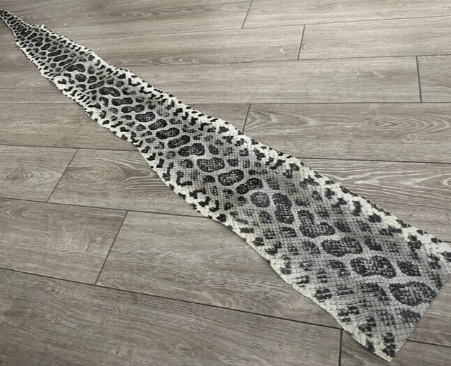 NATURAL GENUINE ANACONDA Snake skin Leather hide python real boa rattle ...
