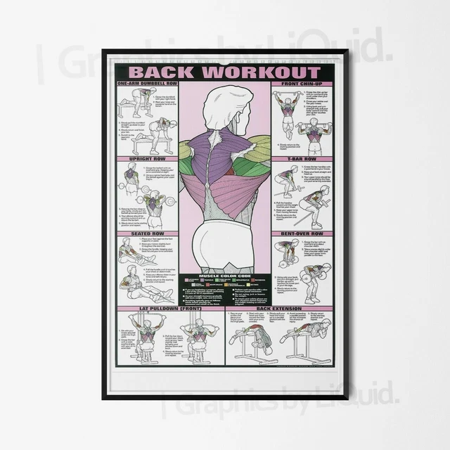 GYM WORKOUT POSTER Back Workout Exercise Chart Poster - A5 A4 A3 £2.99 ...
