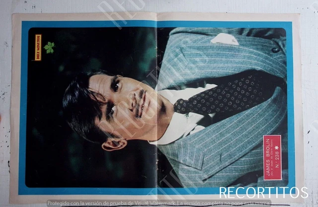 POSTER JAMES BROLIN sara montiel camilo sesto lucia bose EUR 6,00 ...