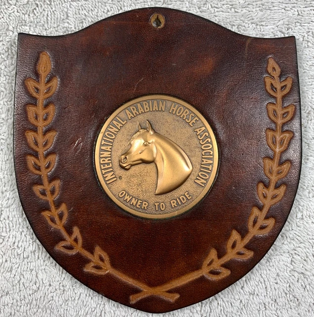 2& BRONZE? INTERNATIONAL Arabian Horse Association Owner To Ride Medal ...