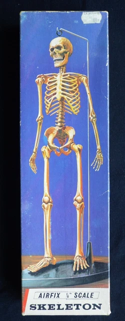 VINTAGE AIRFIX SKELETON MODEL KIT 1/6 Scale Complete £45.00 - PicClick UK