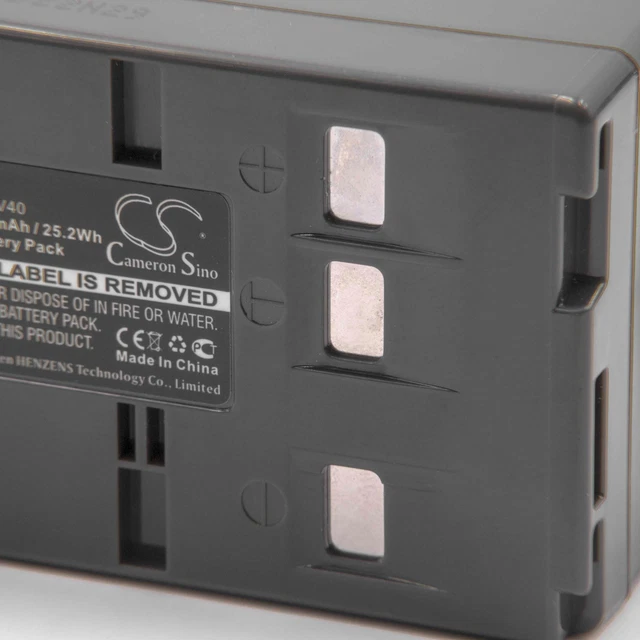 BATERÍA REEMPLAZA PANASONIC VW-VBR2E VW-VBS1 VW-VBS2 VW-VBS2E VW-VBS1E 4200mAh EUR 32,79 ...