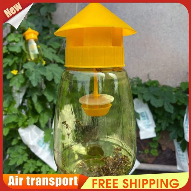 FRUIT FLY TRAP Killer Fruit Fly Mosquito Trap Yellow Flies Catcher for ...