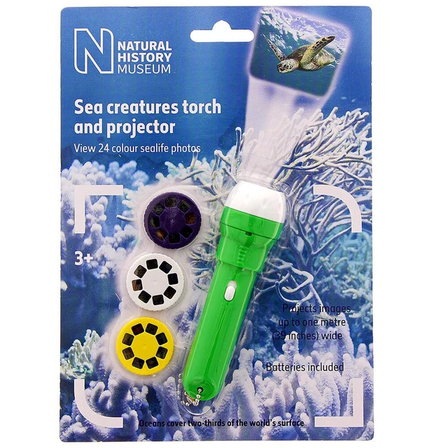 CHILDREN'S SEA CREATURES Torch and Projector Toy - Project Ocean Nature ...