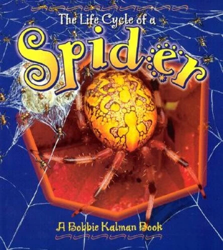 THE LIFE CYCLE of a Spider (Life Cycle S.) by Kathryn Smithyman $39.14 ...