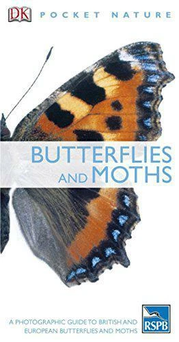 PAPILLONS ET MITES ( Rspb Pocket Nature) Par DK, Neuf Livre , Gratuit ...