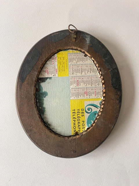 EDELWEISS SÉCHÉ DANS CADRE OVALE NAPOLEON III , HERBIER ,XIX e ANCIEN ...