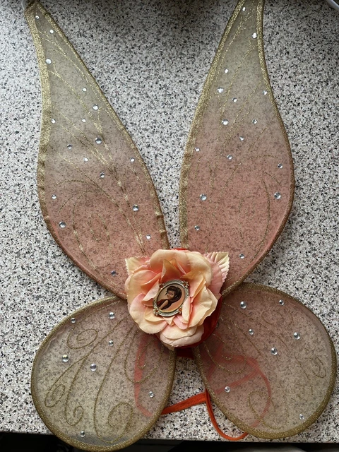 DISNEY STORE FAWN Animal Fairy Costume Wings Tinkerbell Legend of the ...