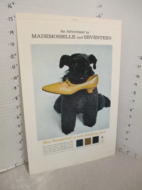 MISS WONDERFUL 1965 women shoe clothing (1) store display sign poodle ...