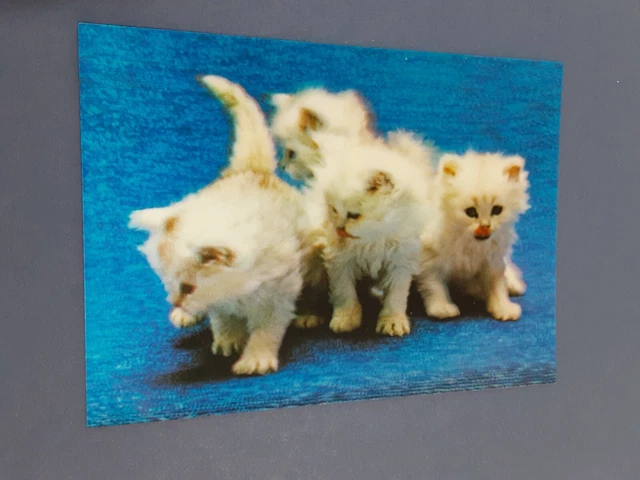 VINTAGE GERMAN LENTICULAR cat kittens Toppan Top Stereo postcard $10.33 ...