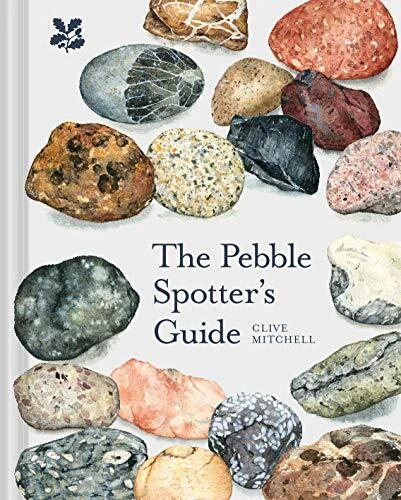 THE PEBBLE SPOTTER'S Guide by Mitchell, Clive, NEW Book, FREE & FAST ...