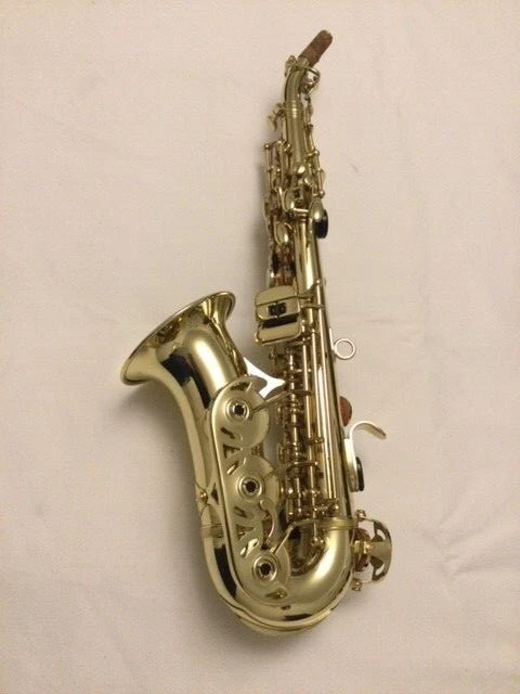ANTIGUA SOPRANO CURVED Horn Sax £125.00 - PicClick UK