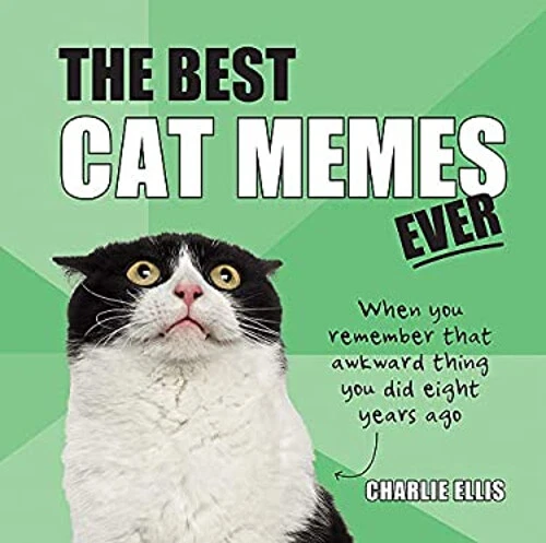 LE MEILLEUR CHAT Mêmes Ever : The Funniest Relatable Mêmes En A Dit Par ...
