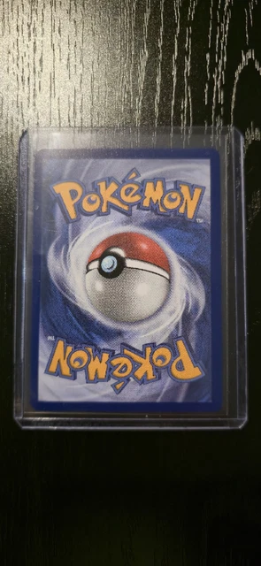 LUDICOLO 095/094 IR NM Phantasmal Flames PFL Pokémon TCG EN $15.42 - PicClick AU