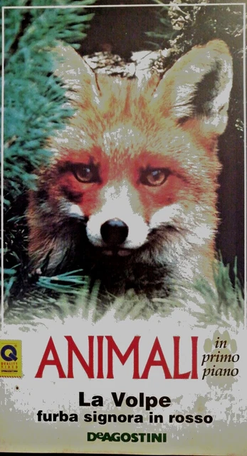 ANIMALI PIERO ANGELA La Volpe Vhs 1995 EUR 4,30 - PicClick IT
