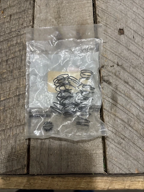 SKI-DOO - NEW OEM Rave Spring Qty 5 420239948 NOS $27.81 - PicClick CA