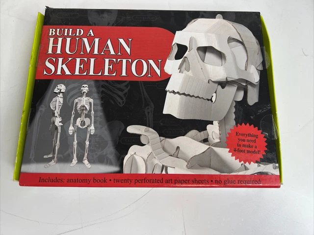 BUILD A HUMAN Skeleton Paper Craft Kit - Unbuilt - New £19.03 - PicClick UK