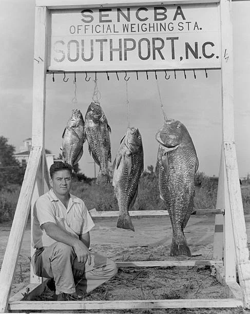 BLACK DRUM IN Southport 1950 Old Fishing Photo $9.00 - PicClick AU