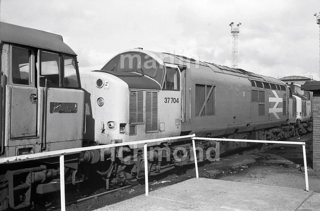 CARDIFF CANTON CLASS 37 37704 28.8.88 35mm Railway Negative RN353 £2.99 ...