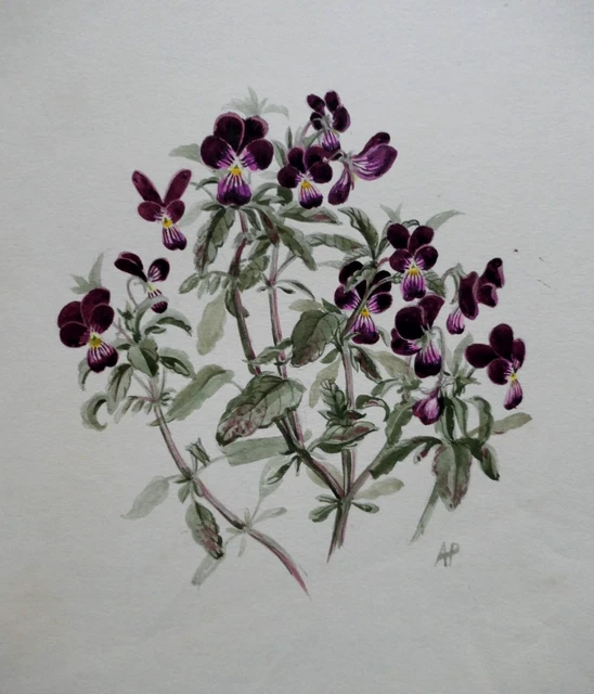 ANNA POTWOROWSKA (XX) Watercolour. Floral Study £22.00 - PicClick UK