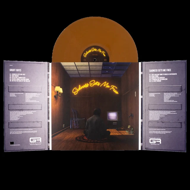 RT EXCLUSIVE | Gruff Rhys | LP vinyle marron | Sadness Sets Me Free EUR ...