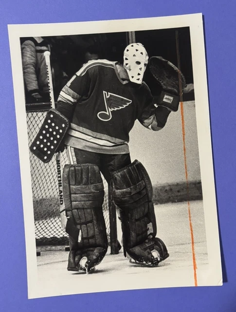 MIKE LIUT TYPE 1 PHOTO 5x7 St. Louis Blues Original Goalie Mask NHL $9. ...