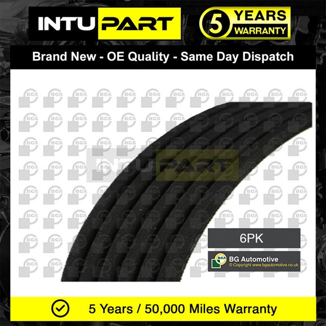 FITS CHEROKEE CAYENNE Touareg Q7 IntuPart V Ribbed Drive Belt ...