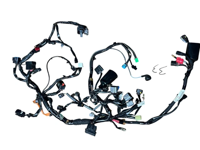 2024-2025 KAWASAKI NINJA Ex500 Main Engine Wiring Harness Motor Wire ...