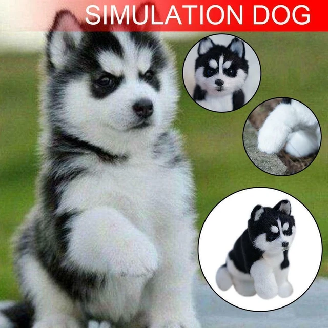 REALISTIC HUSKY PLUSH Stuffed Pet Dog Simulation Toy Dog Puppy. £11.11 ...