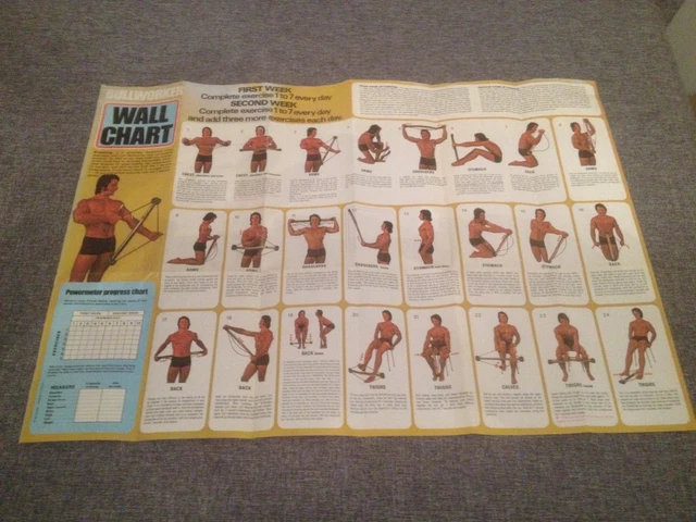 ORIGINAL BULLWORKER WALL CHART £5.50 - PicClick UK