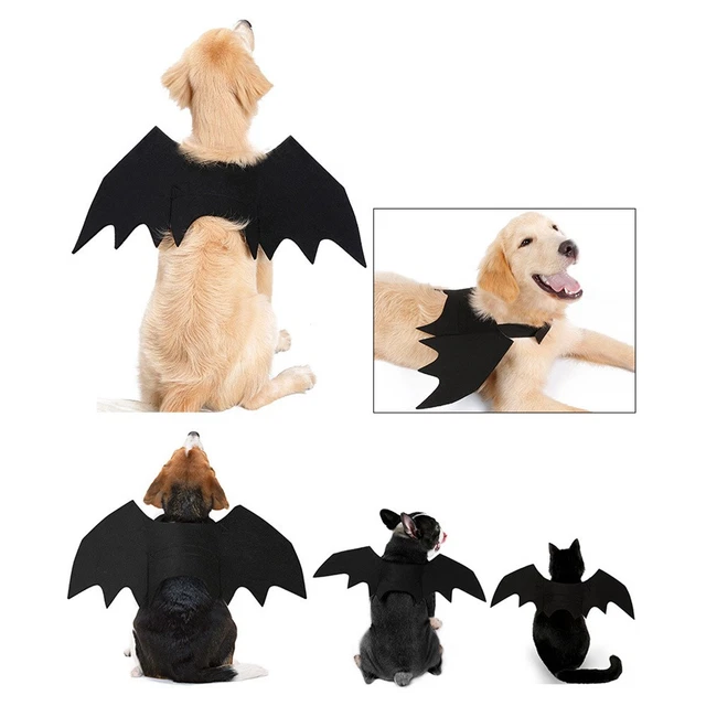 FUNNY PET COSTUME Halloween Outfit Pet Bat Wings Design Dress Up Dog ...