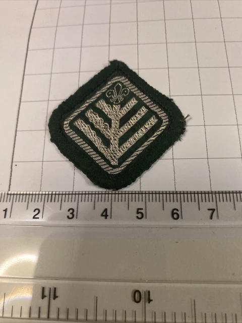 BRITISH SCOUT PROFICIENCY Badge Scout Standard Open Scout Badge A41 £2. ...